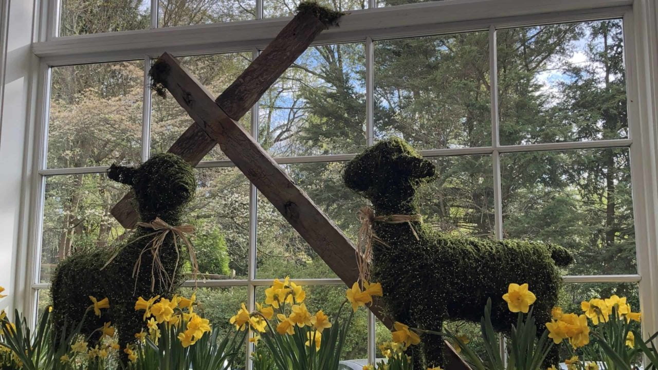 Easter Season at St. David’s | St. David's Episcopal Church