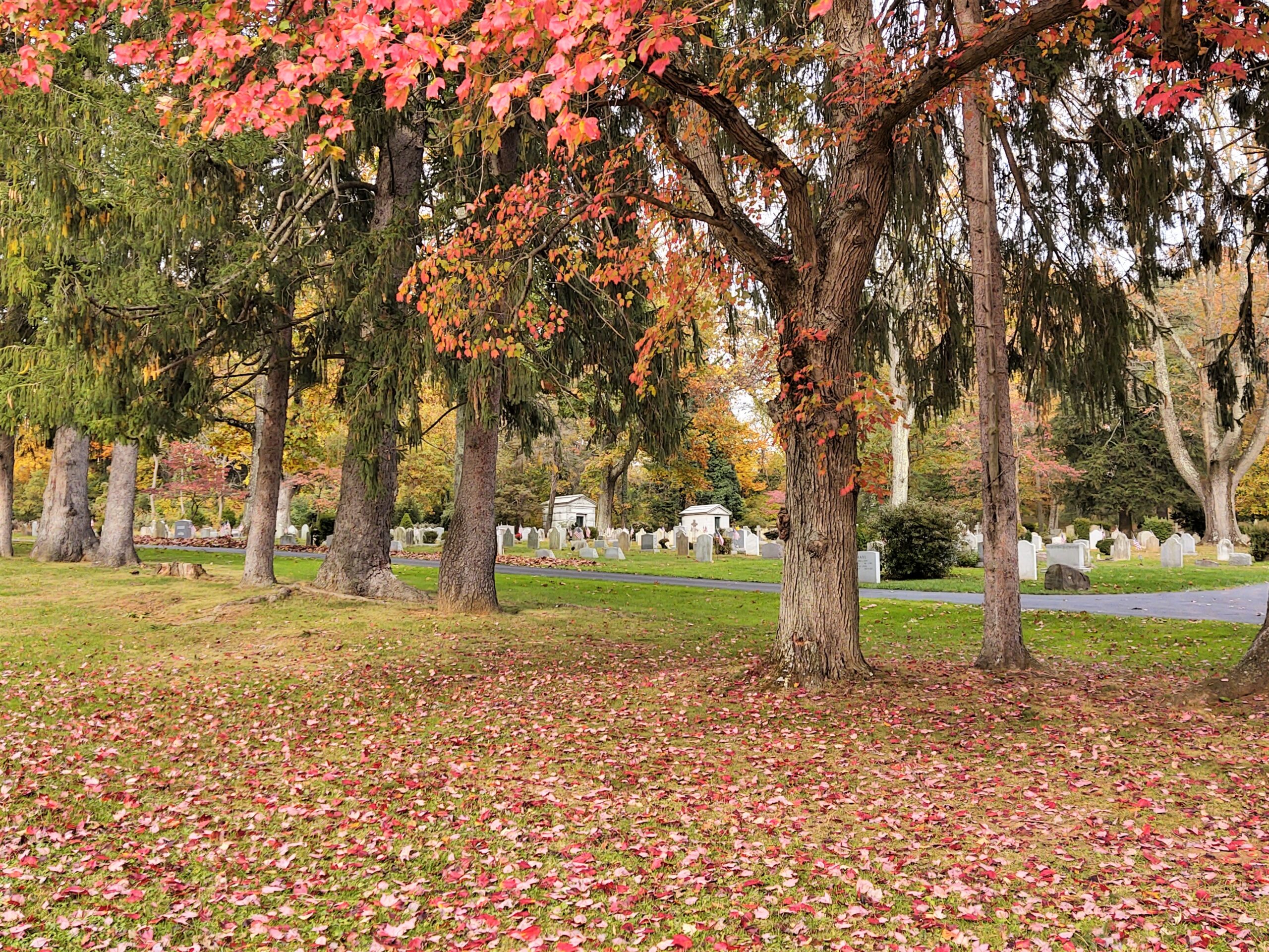 Everyday Holiness - St. David's Episcopal Church
