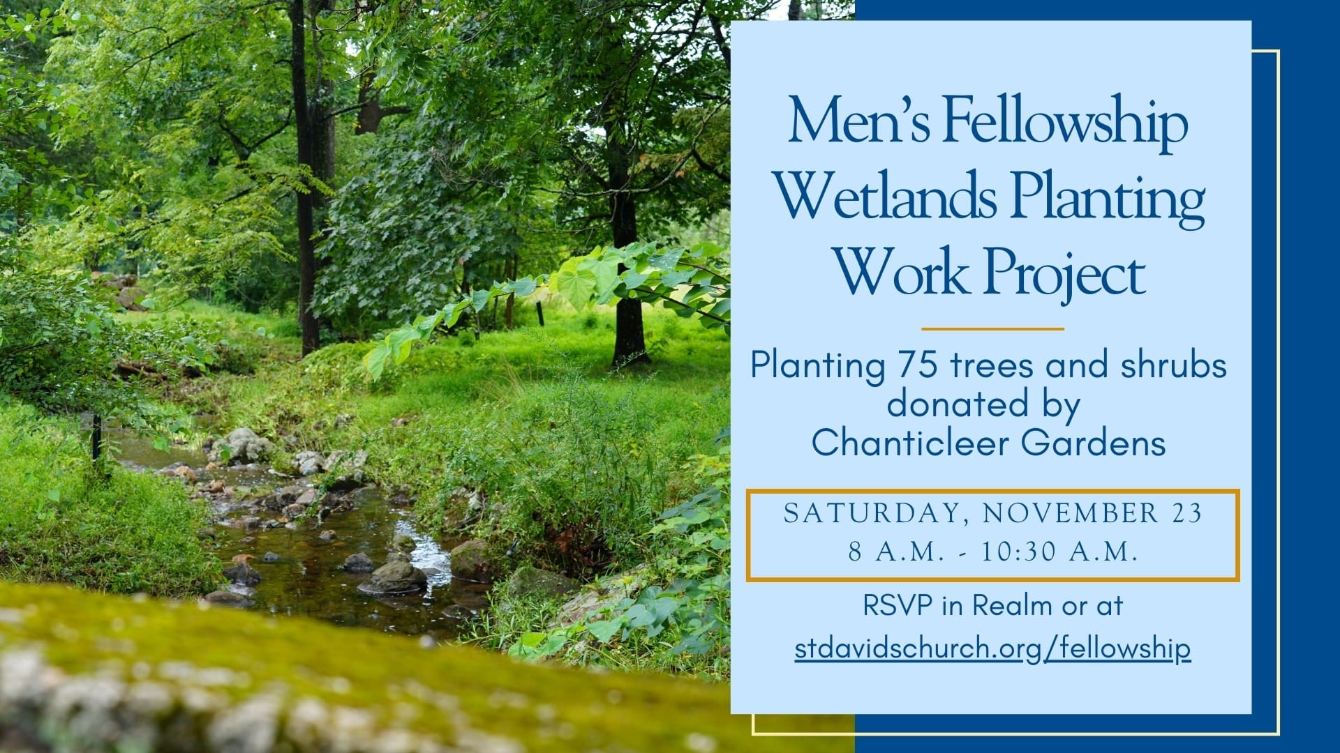 Wetlands Planting Work Project - St. David's Episcopal Church